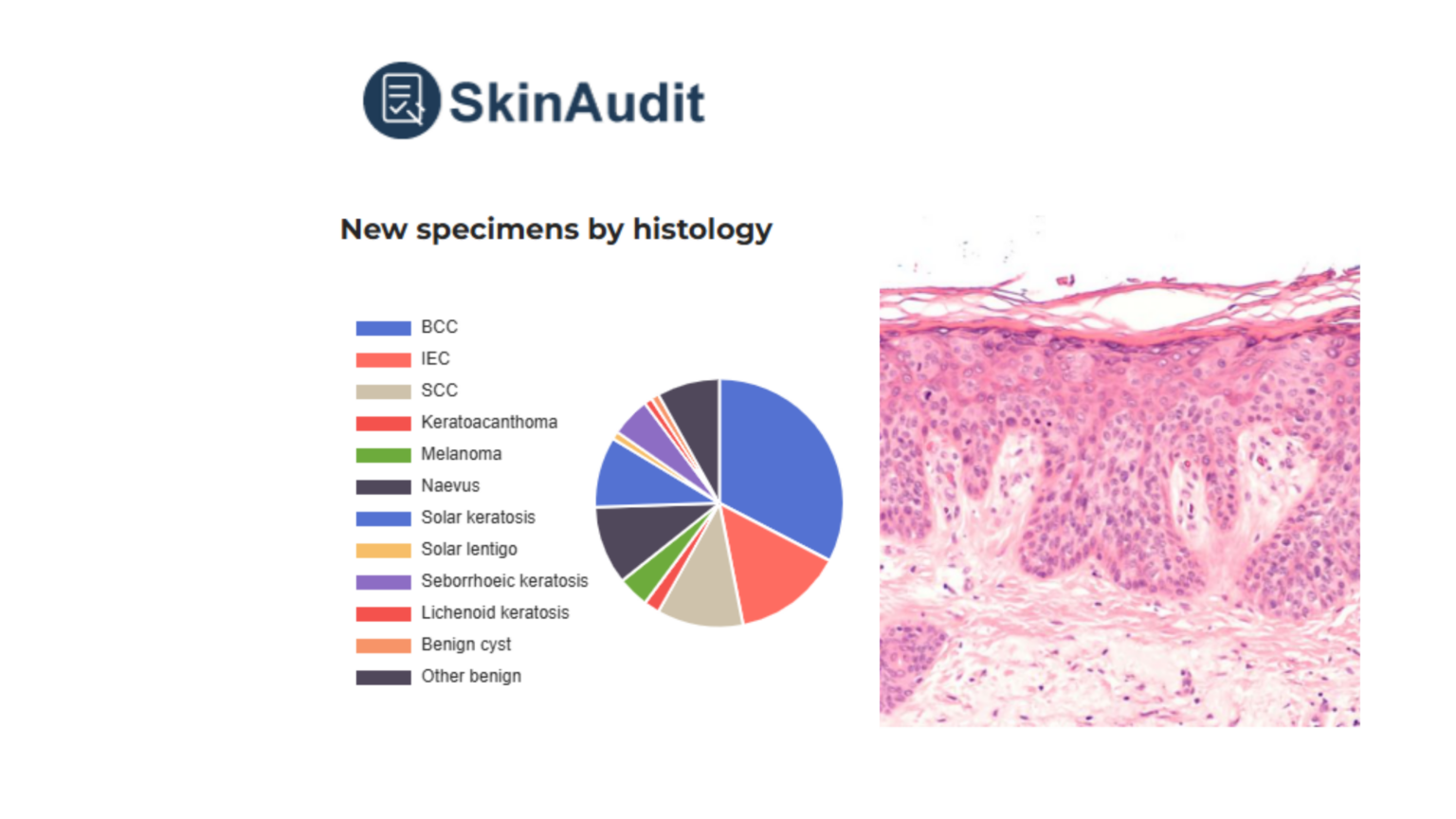 SkinAudit – FNQH Pathology